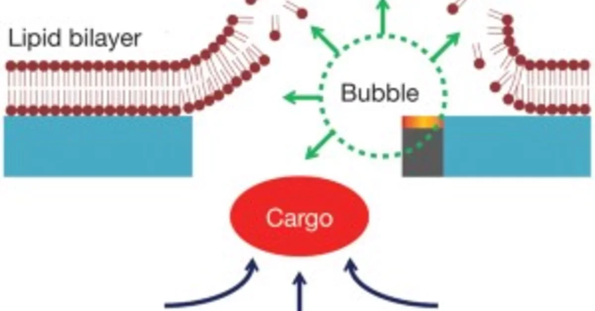 Nature Methods Highlights Photothermal Nanoblade and BLAST Technologies ...